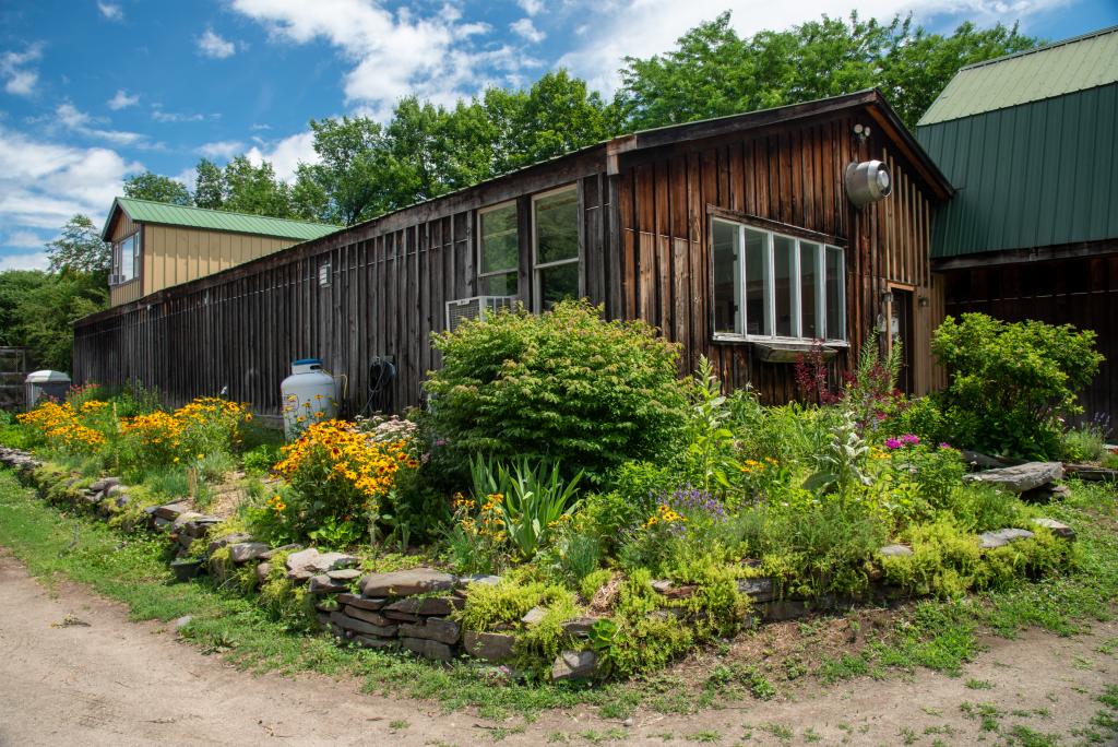 The Basin Farm | Twelve Tribes